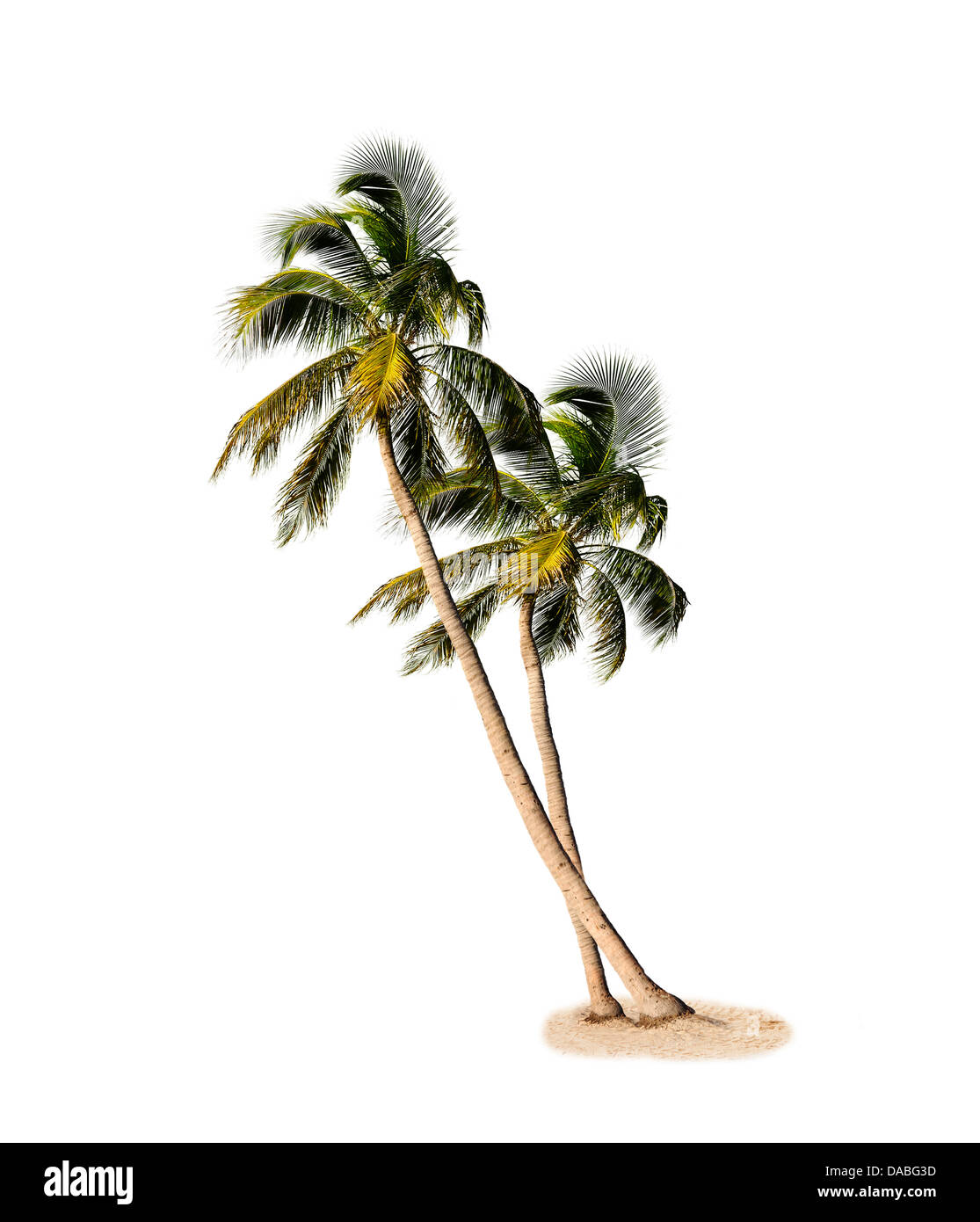 Sfondo di palme da cocco immagini e fotografie stock ad alta ...