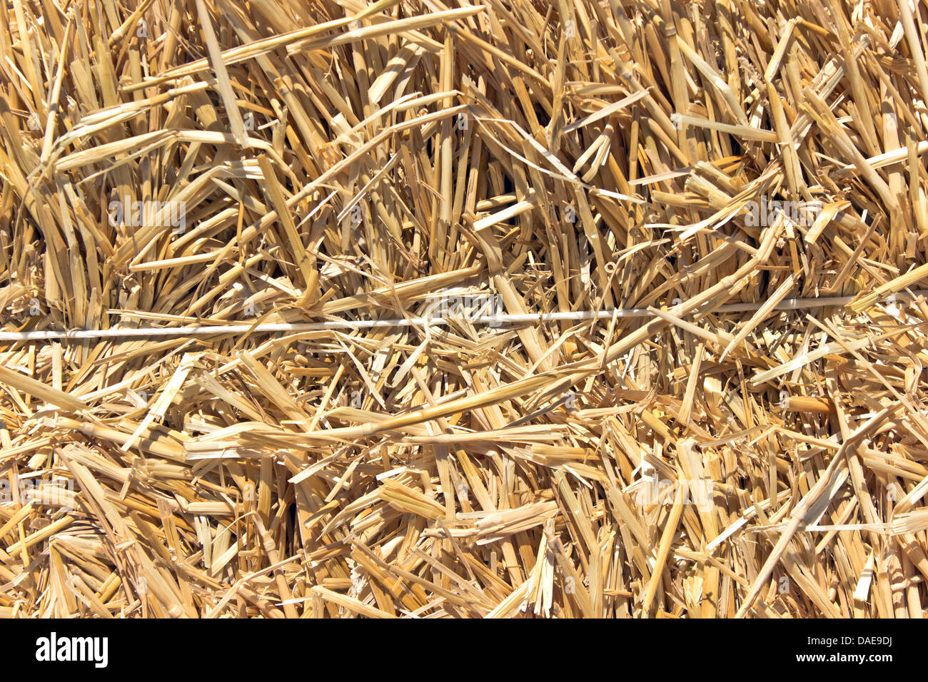 Sfondo di paglia immagini e fotografie stock ad alta risoluzione - Alamy