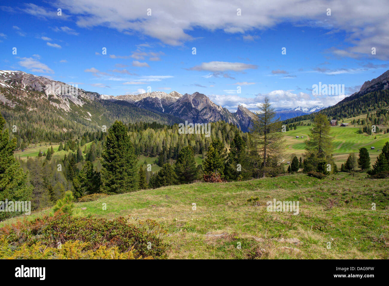 Plaetzwiese, fanes sennes braies immagini e fotografie stock ad alta ...