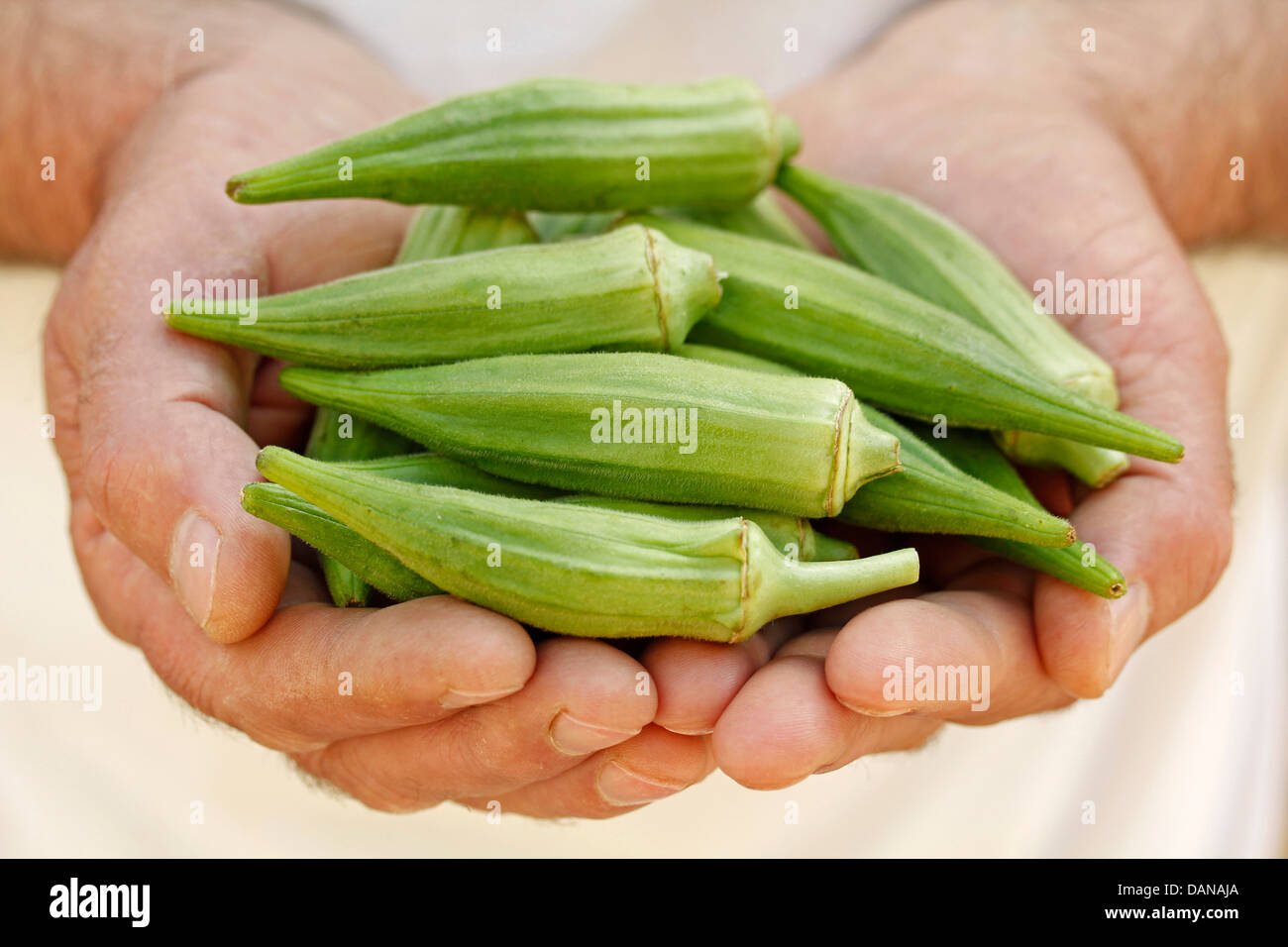 Colore del gombo immagini e fotografie stock ad alta risoluzione - Alamy