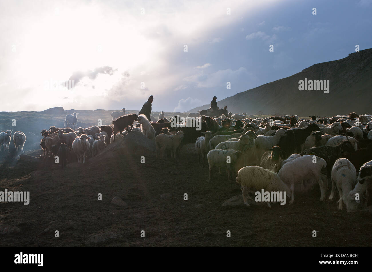 Un paesaggio con un pastore e il suo gregge immagini e fotografie stock ...