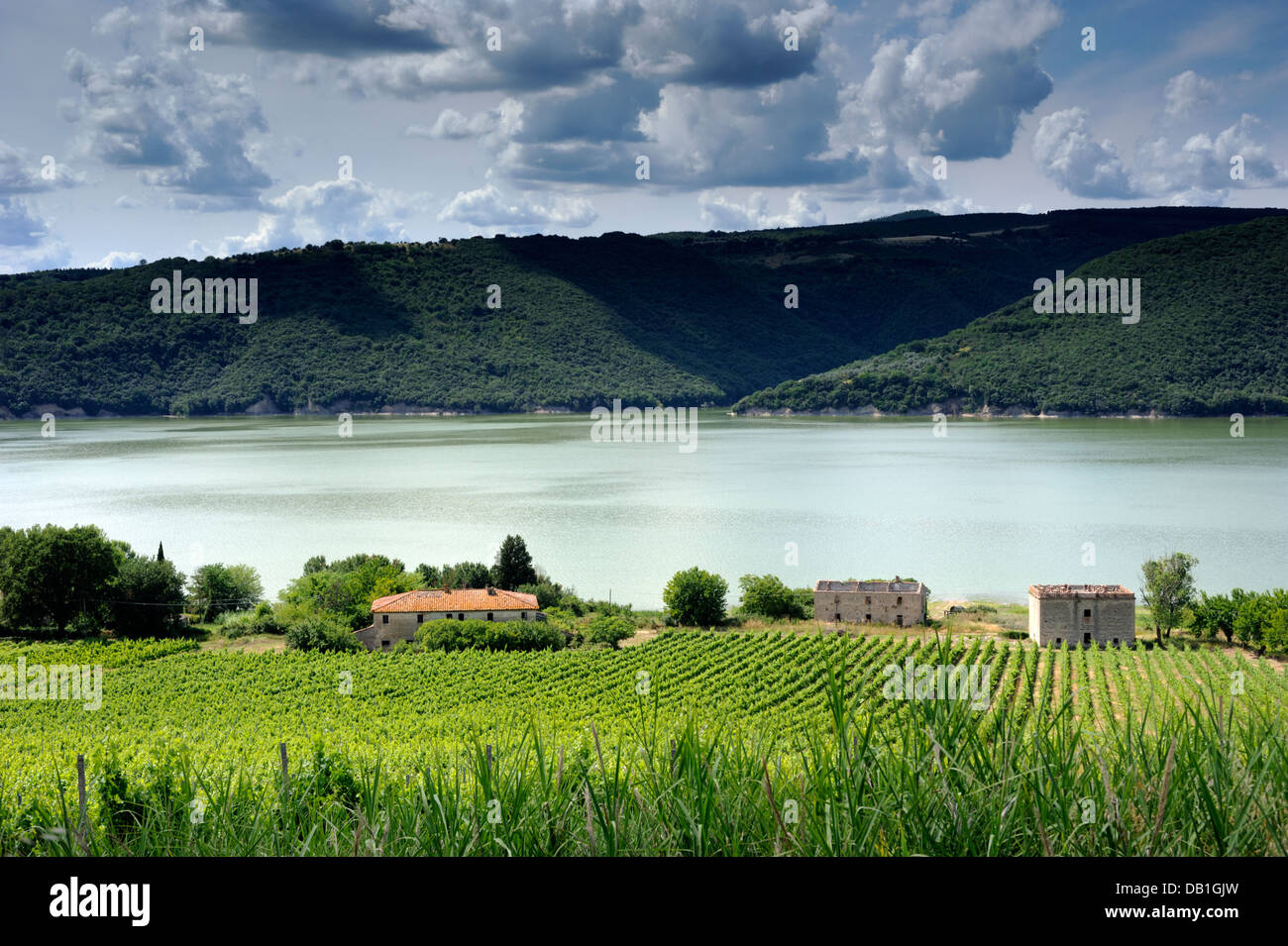 Tiber river umbria immagini e fotografie stock ad alta risoluzione - Alamy