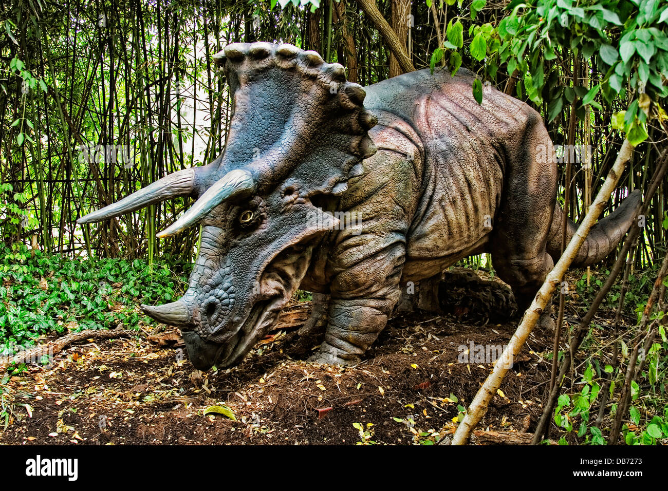 Periodo cretaceo immagini e fotografie stock ad alta risoluzione - Alamy