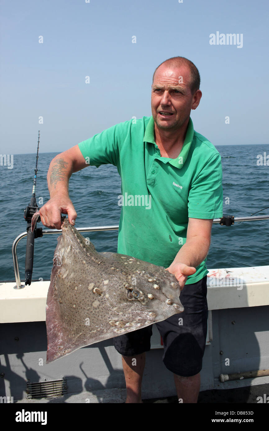 British ray species immagini e fotografie stock ad alta risoluzione - Alamy