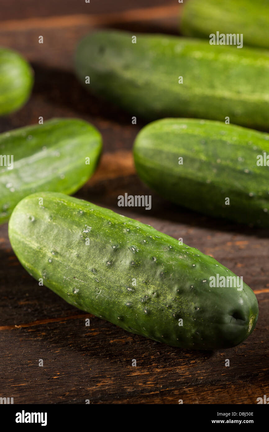 Il Cetriolo Salato Immagini e Fotos Stock - Alamy