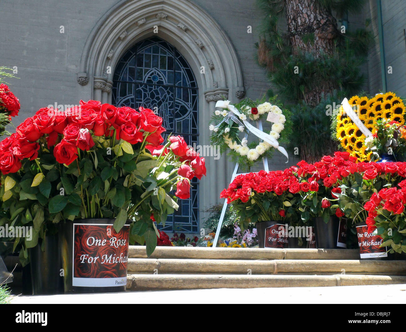 Michael jackson fans in forest lawn memorial park immagini e fotografie ...