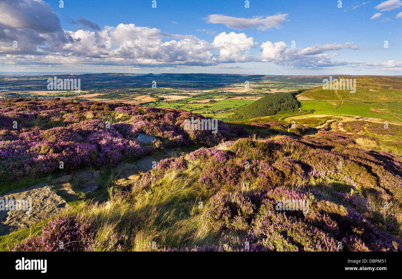Brughiera yorkshire inghilterra immagini e fotografie stock ad alta ...