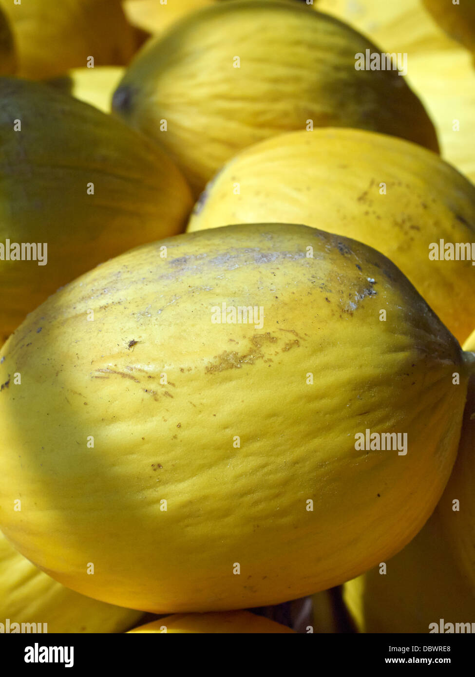 Meloni gialli immagini e fotografie stock ad alta risoluzione - Alamy