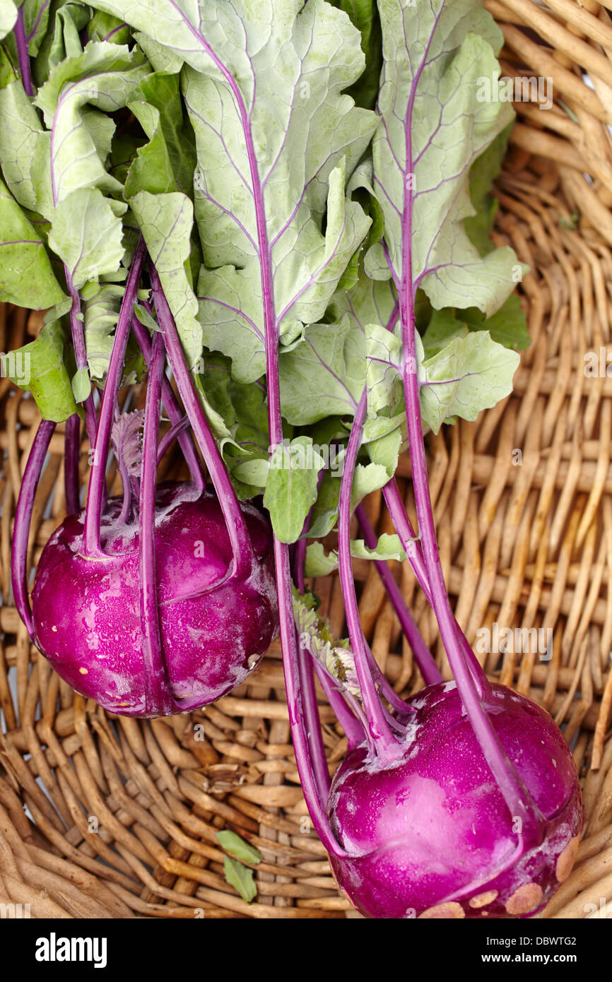 Cavolo rapa cavolo rapa immagini e fotografie stock ad alta risoluzione ...