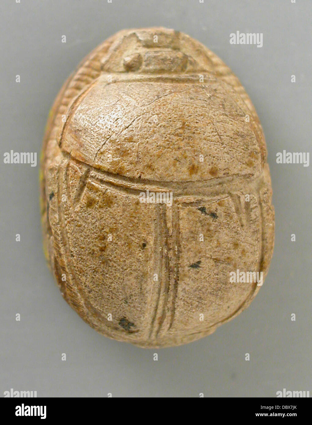 Scarabeo egiziano avorio immagini e fotografie stock ad alta ...