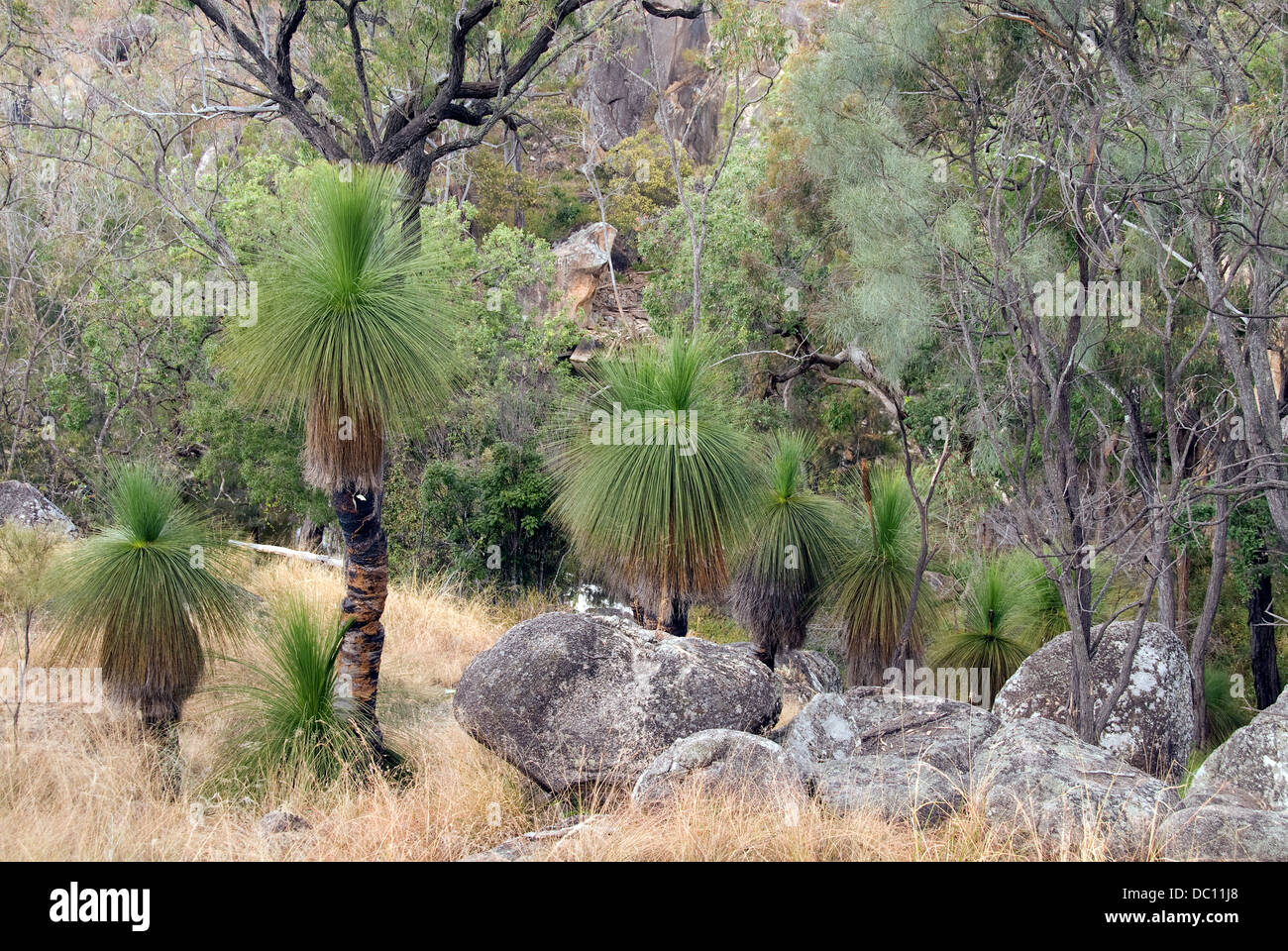 Australia outback aboriginal boy immagini e fotografie stock ad alta ...