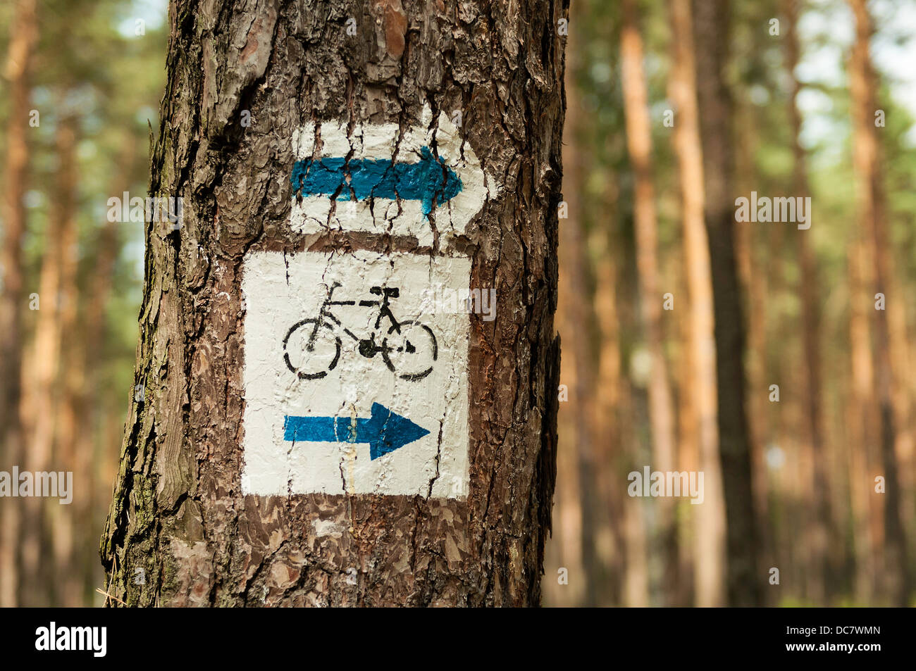 Albero del segno della freccia immagini e fotografie stock ad alta ...
