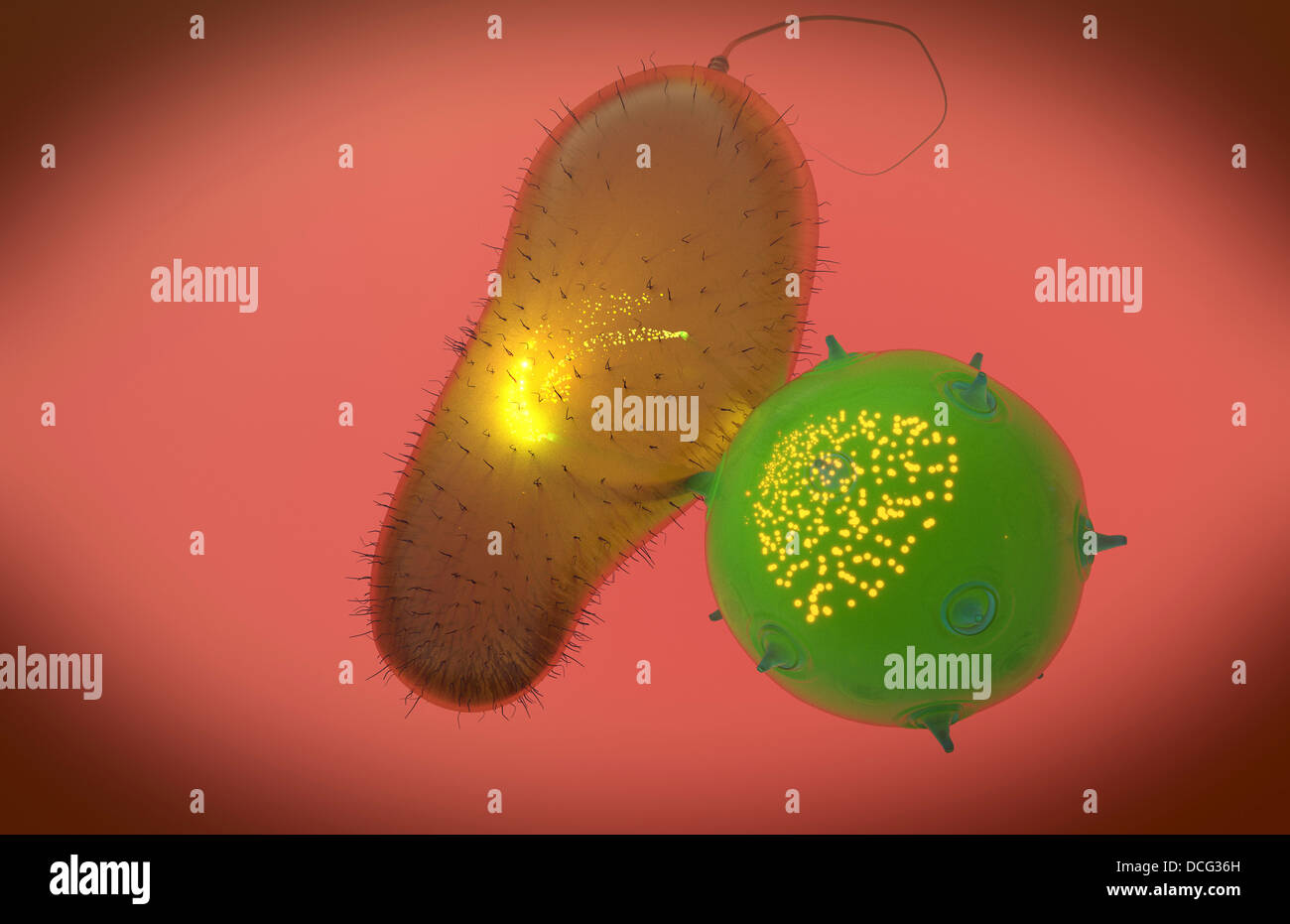 Iniettando illustrazioni immagini e fotografie stock ad alta ...