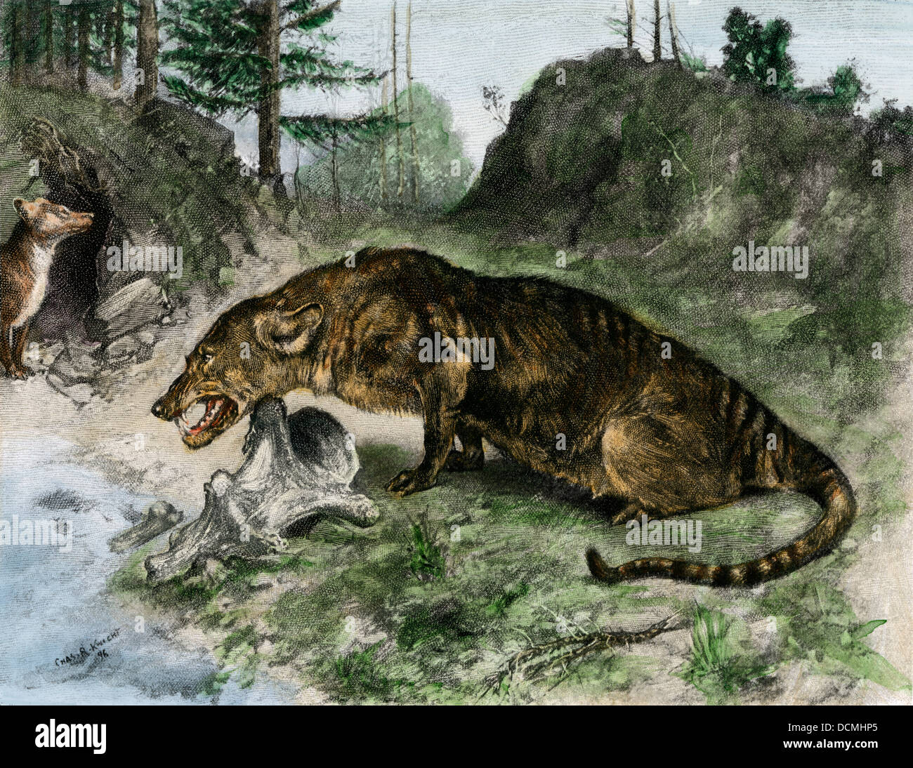 Mammifero preistorico estinto immagini e fotografie stock ad alta ...