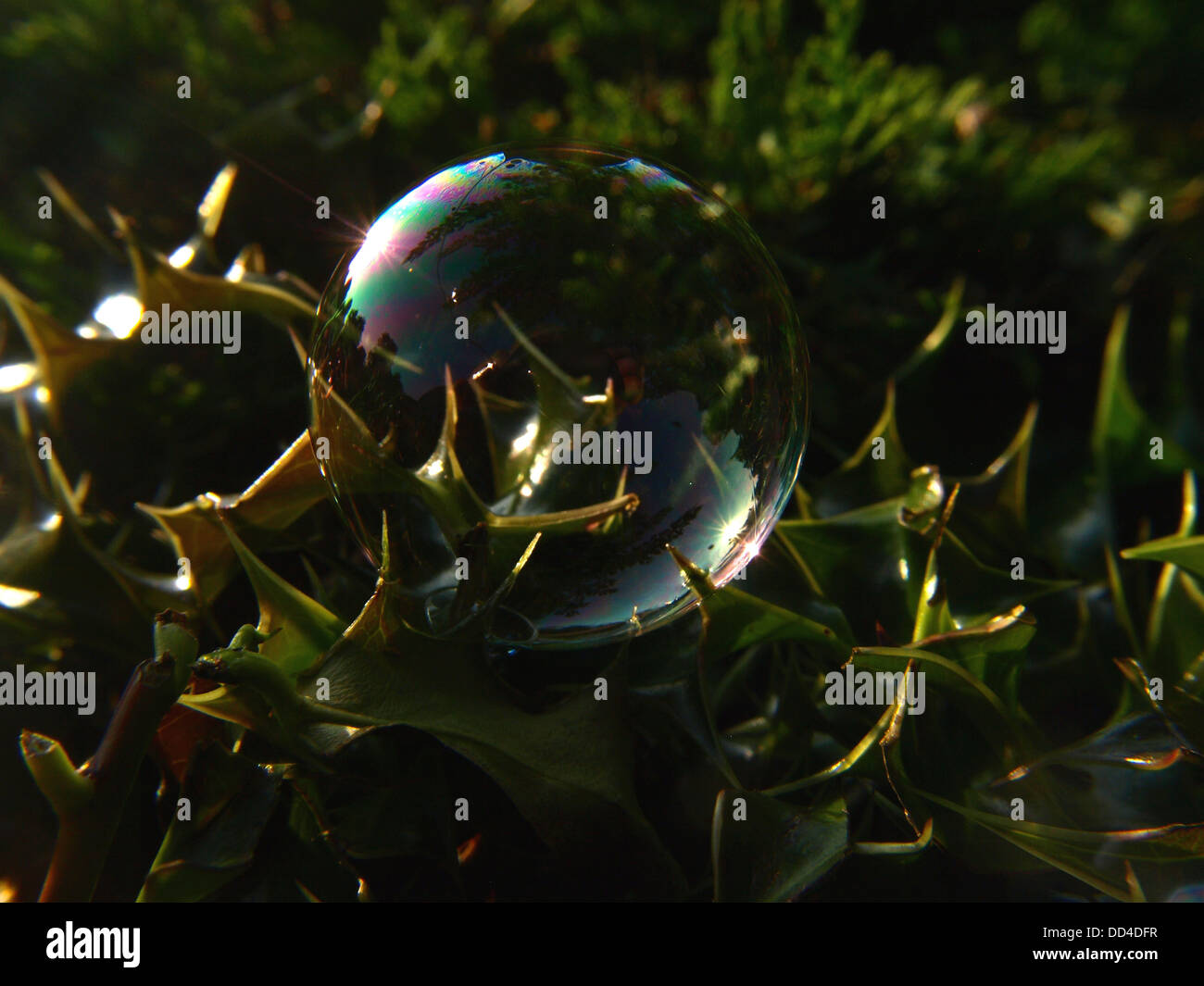 Bolla di sapone immagini e fotografie stock ad alta risoluzione - Alamy