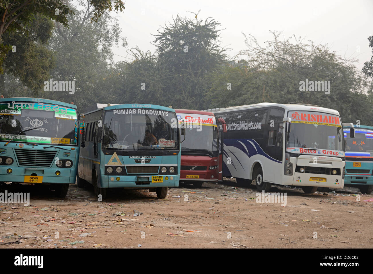 Una linea di Indian pullman turistici utilizzati da turisti indiani in ...