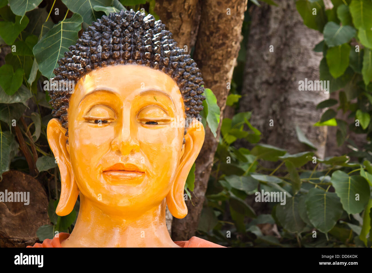 Bella faccia della statua immagini e fotografie stock ad alta ...