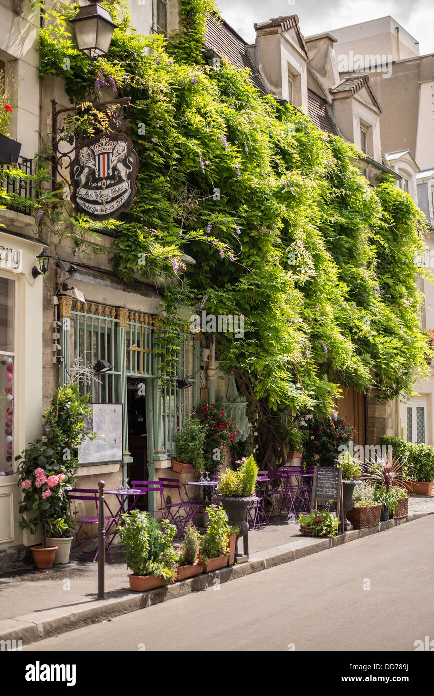 Pianta di strada immagini e fotografie stock ad alta risoluzione - Alamy