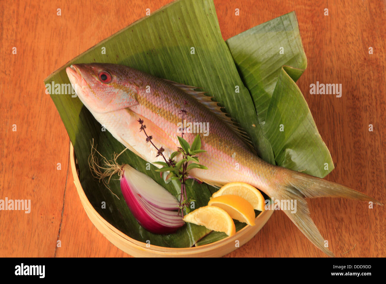 Snapper dalla coda gialla immagini e fotografie stock ad alta ...