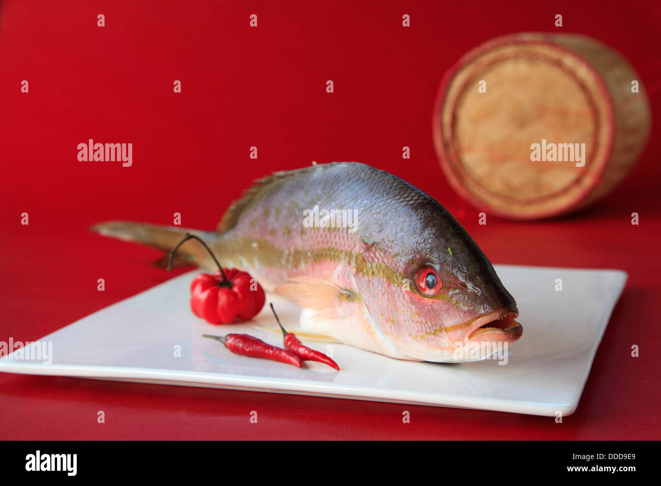 Snapper dalla coda gialla immagini e fotografie stock ad alta ...