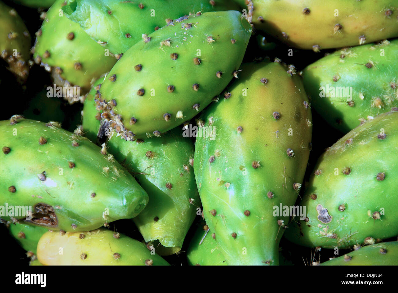 Fichi d'india immagini e fotografie stock ad alta risoluzione - Alamy