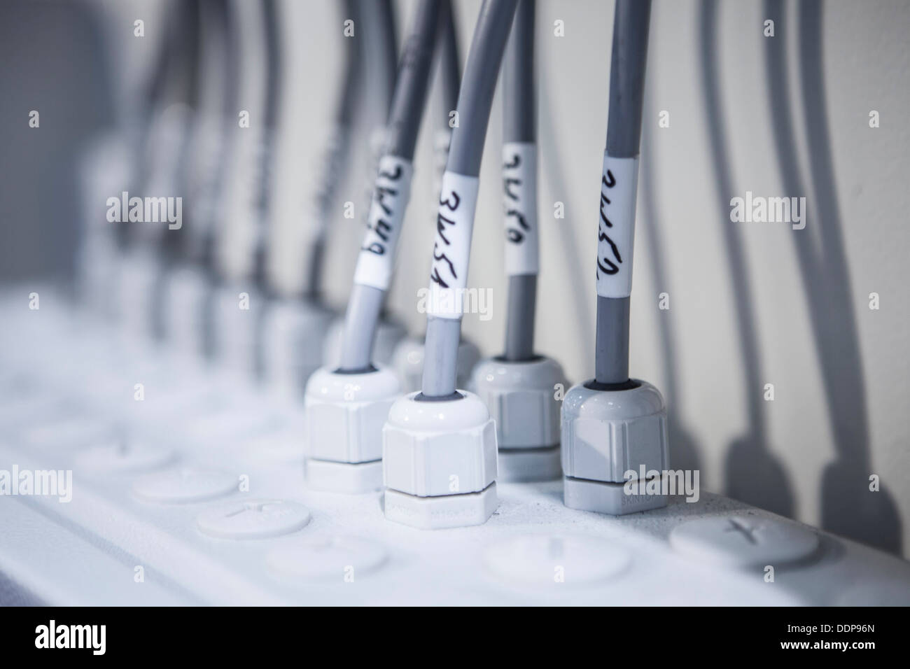 Rete di computer immagini e fotografie stock ad alta risoluzione - Alamy