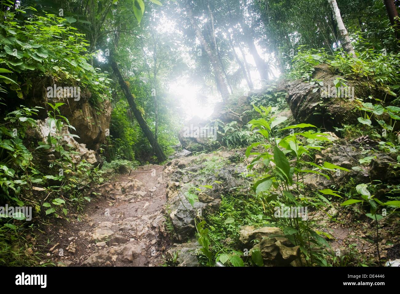 Riserva di biosfera di montes azules immagini e fotografie stock ad ...