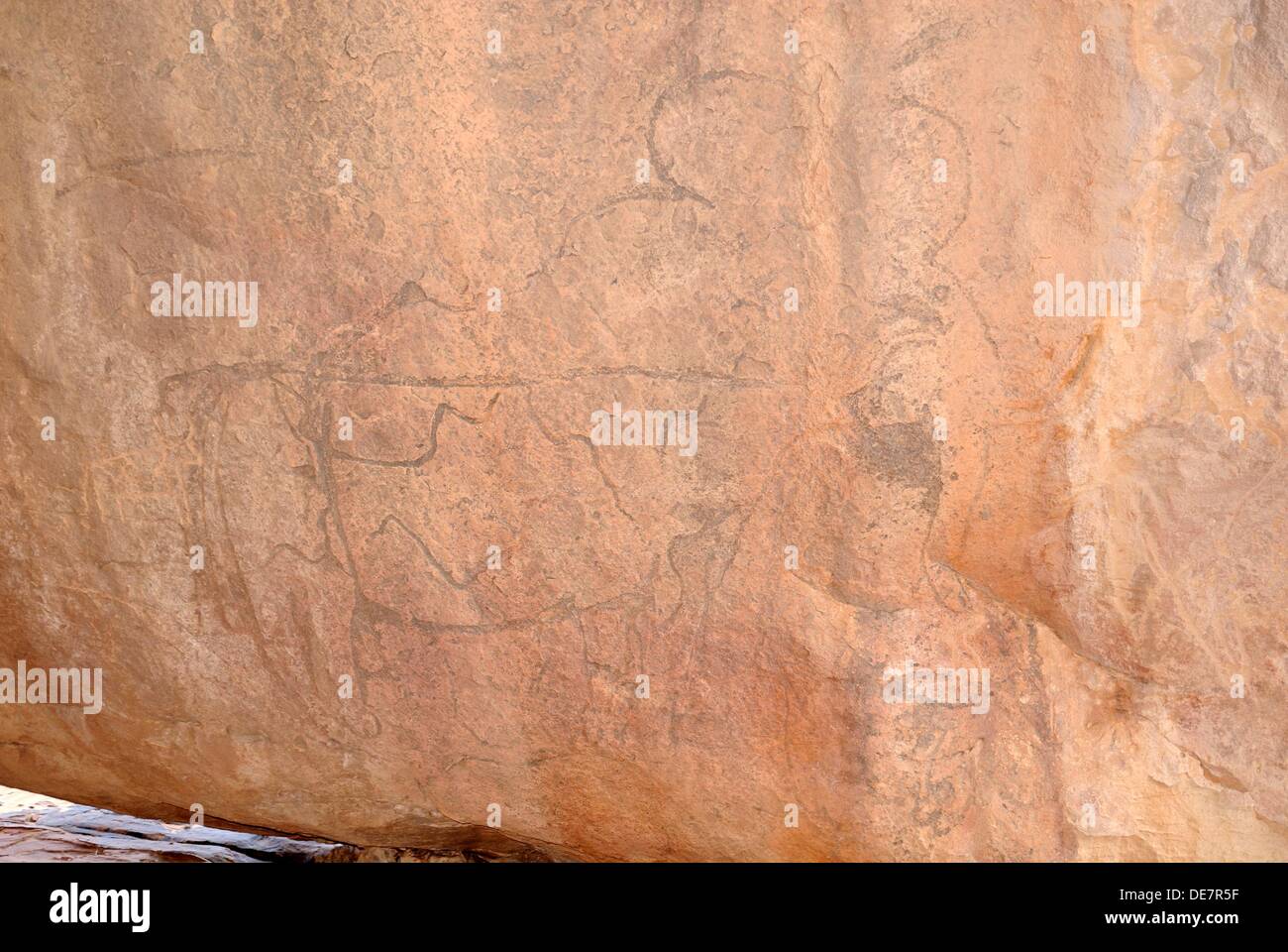 Incisione rupestre di una mucca immagini e fotografie stock ad alta ...