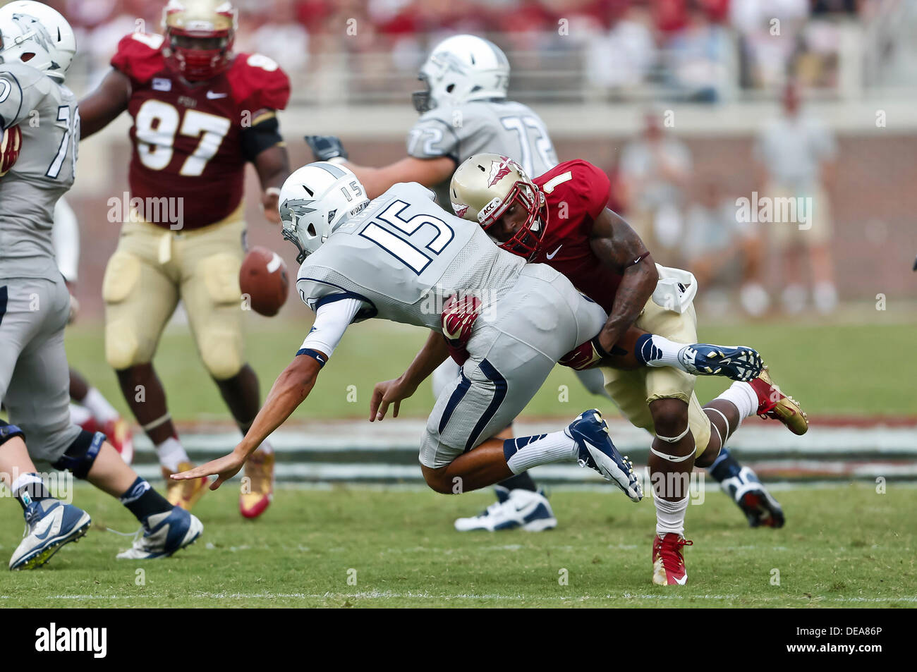 14 settembre 2013: Florida State Seminoles defensive back Tyler Hunter ...