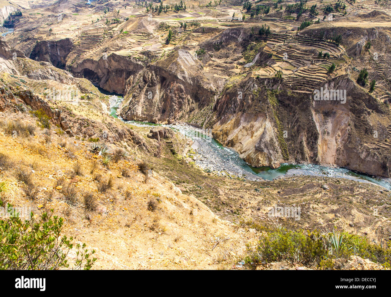 Il Canion del Colca Perù Sud America. Gli Incas per costruire ...