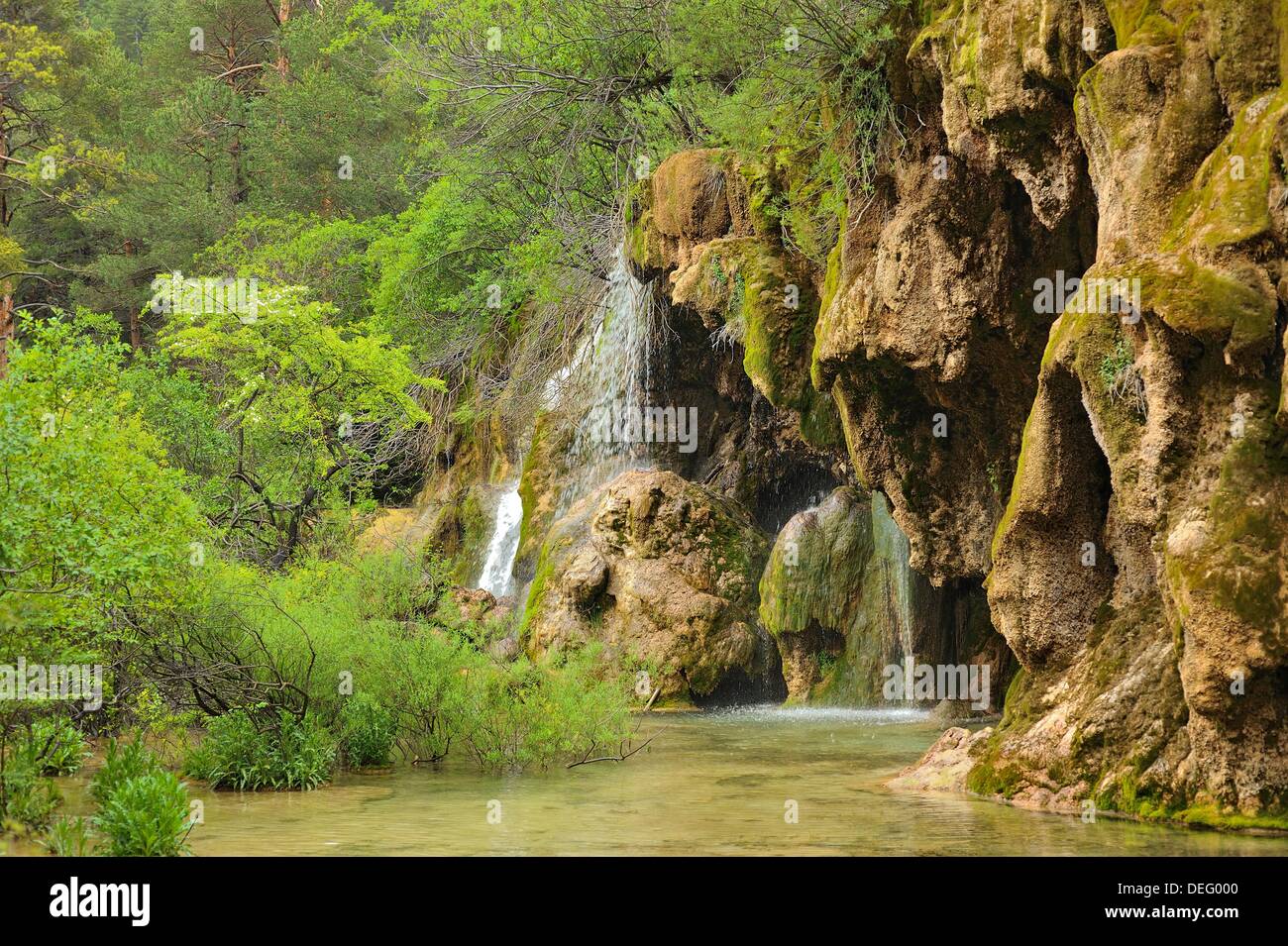 Nacimiento de rio immagini e fotografie stock ad alta risoluzione - Alamy