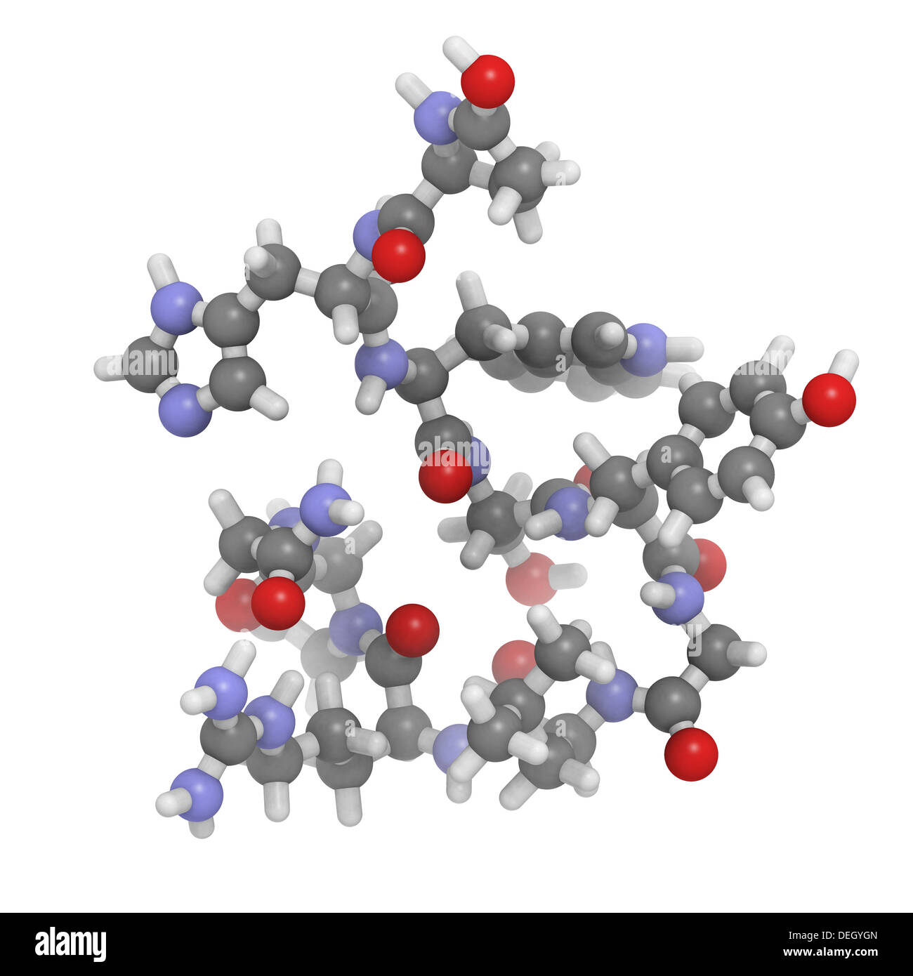 Ormone peptidico trofico immagini e fotografie stock ad alta ...