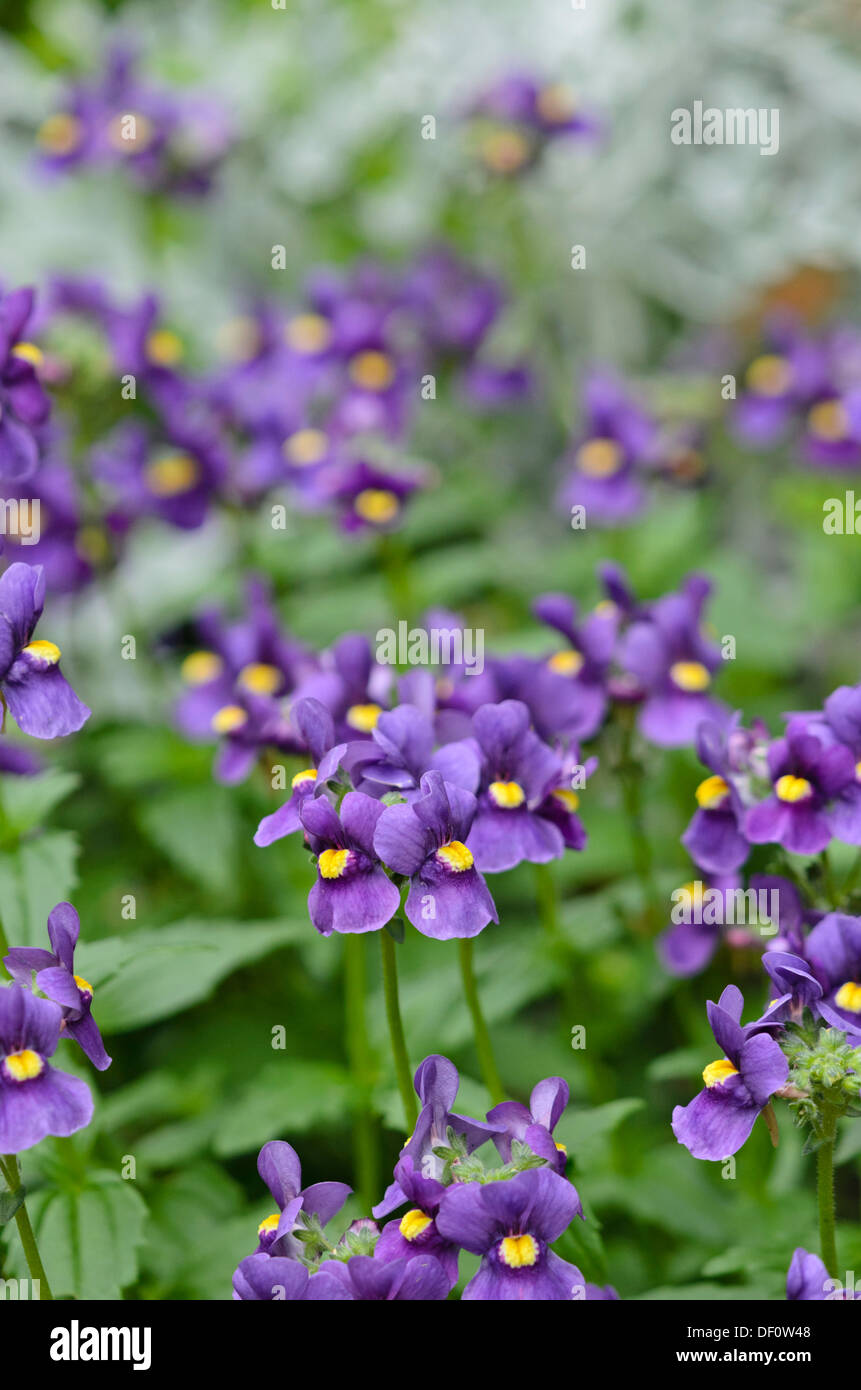 Blu scuro immagini e fotografie stock ad alta risoluzione - Alamy