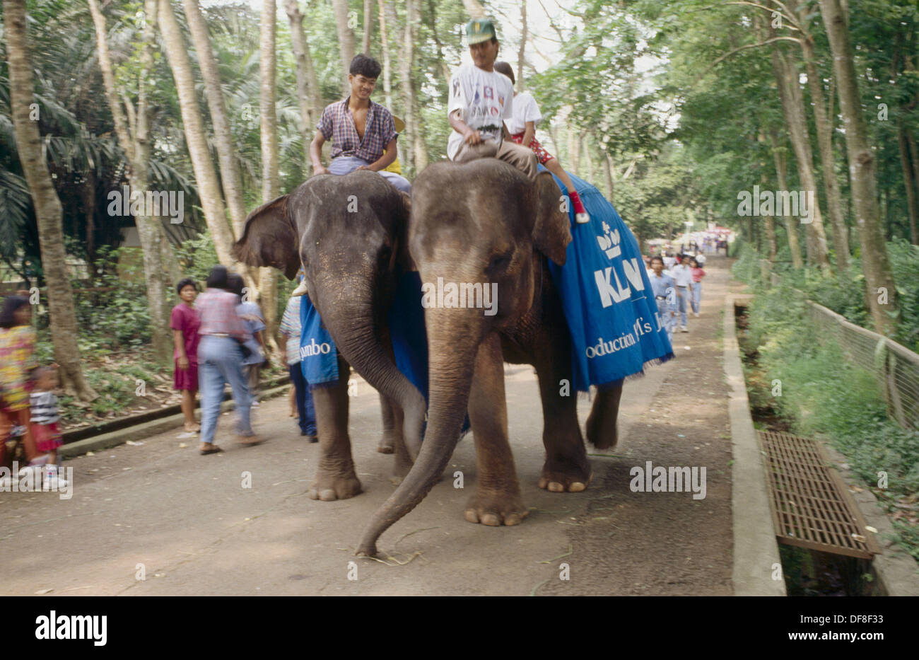 Zoo di jakarta immagini e fotografie stock ad alta risoluzione - Alamy