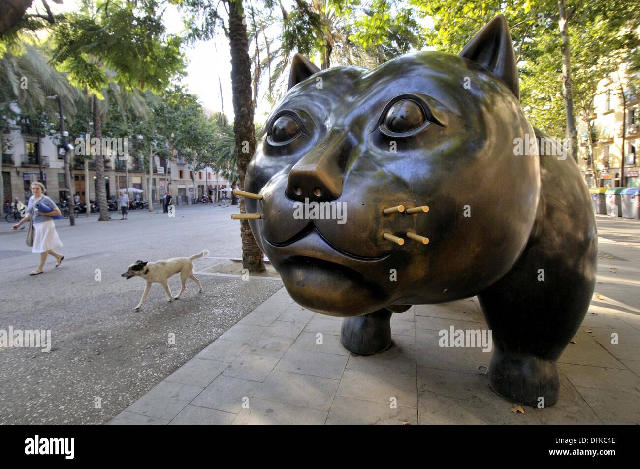 Gatto del raval immagini e fotografie stock ad alta risoluzione - Alamy
