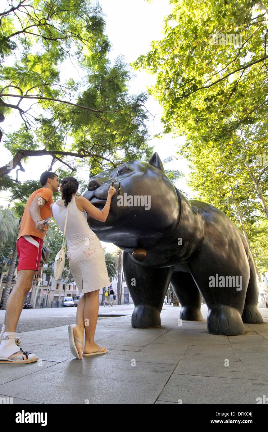 Gatto del raval immagini e fotografie stock ad alta risoluzione - Alamy