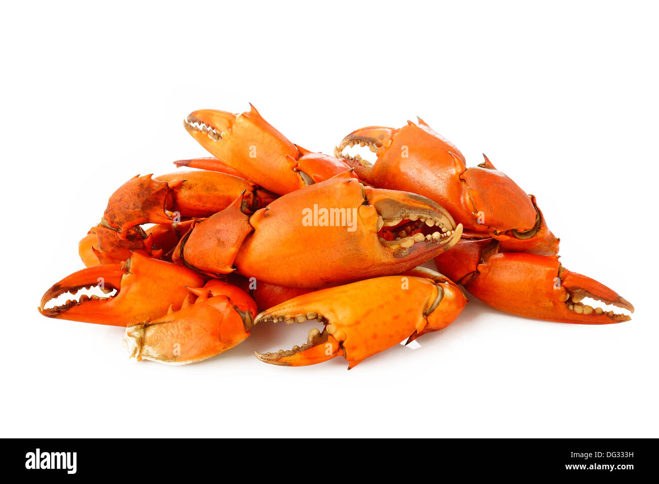 Chela di granchio bollita immagini e fotografie stock ad alta ...
