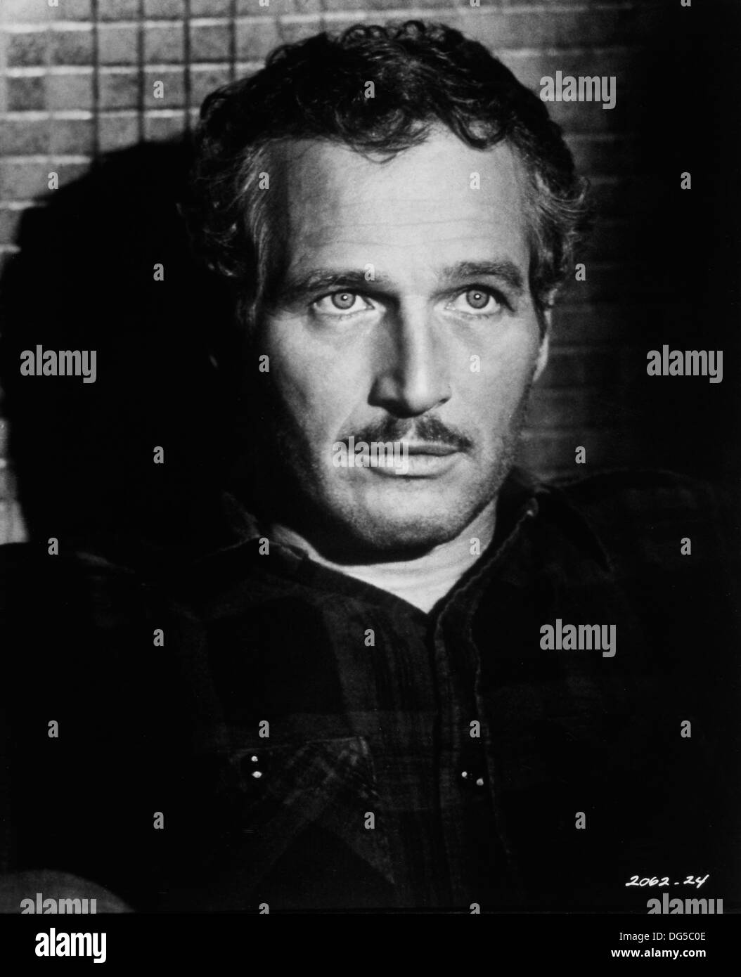 Actor paul newman immagini e fotografie stock ad alta risoluzione - Alamy
