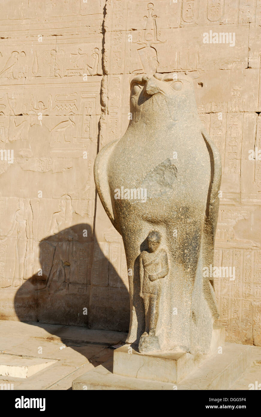 Antico egitto dei egizi dio horus falcon immagini e fotografie stock ad ...