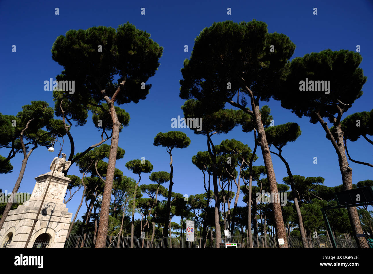 Pini di roma immagini e fotografie stock ad alta risoluzione - Alamy