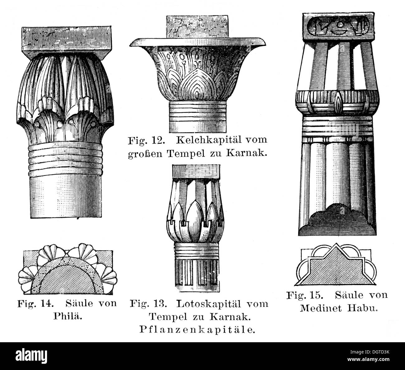 Capitelli di loto immagini e fotografie stock ad alta risoluzione - Alamy