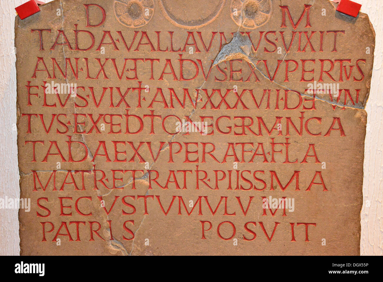 Latin inscriptions immagini e fotografie stock ad alta risoluzione - Alamy