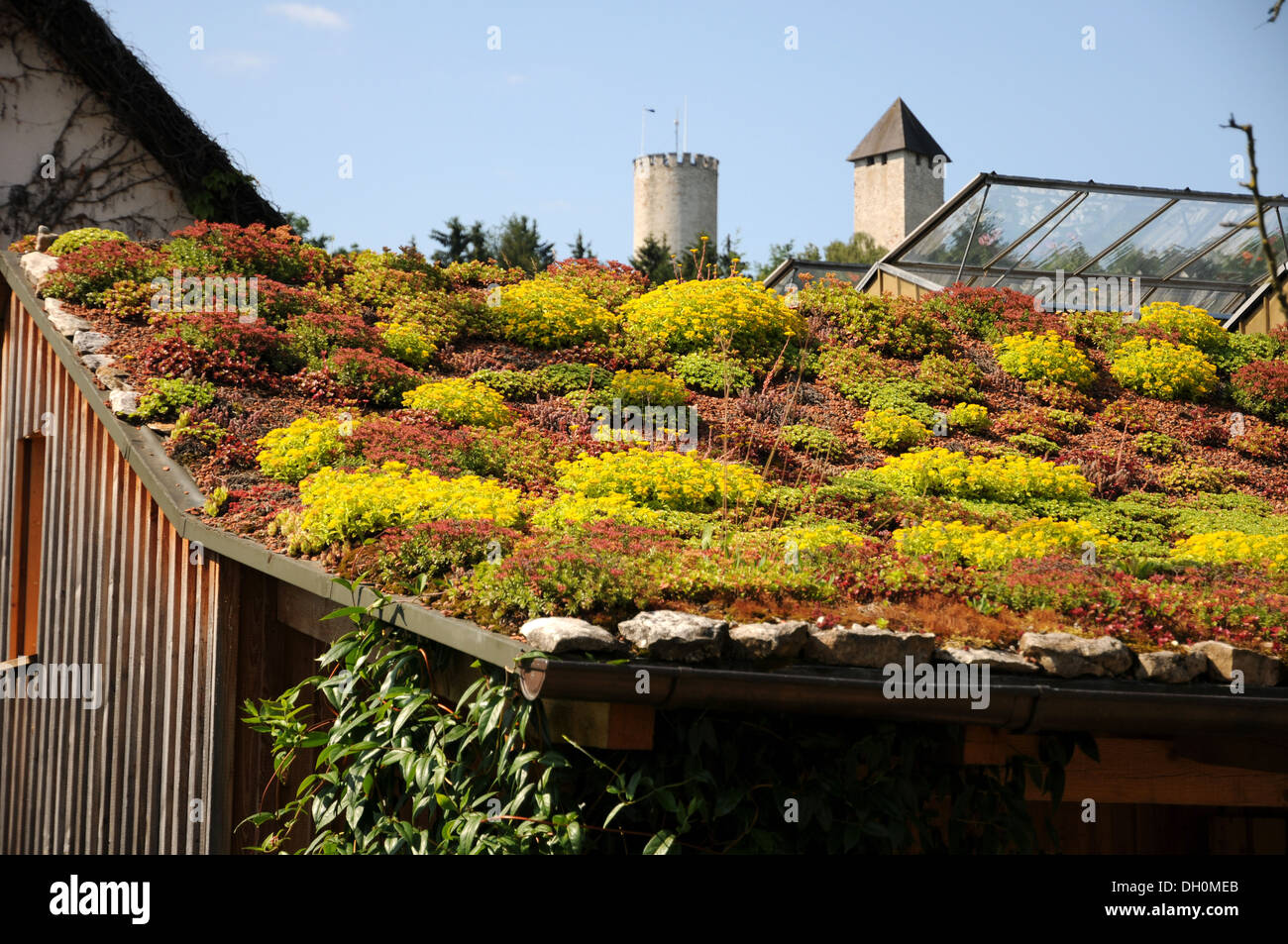 Tetto verde immagini e fotografie stock ad alta risoluzione - Alamy