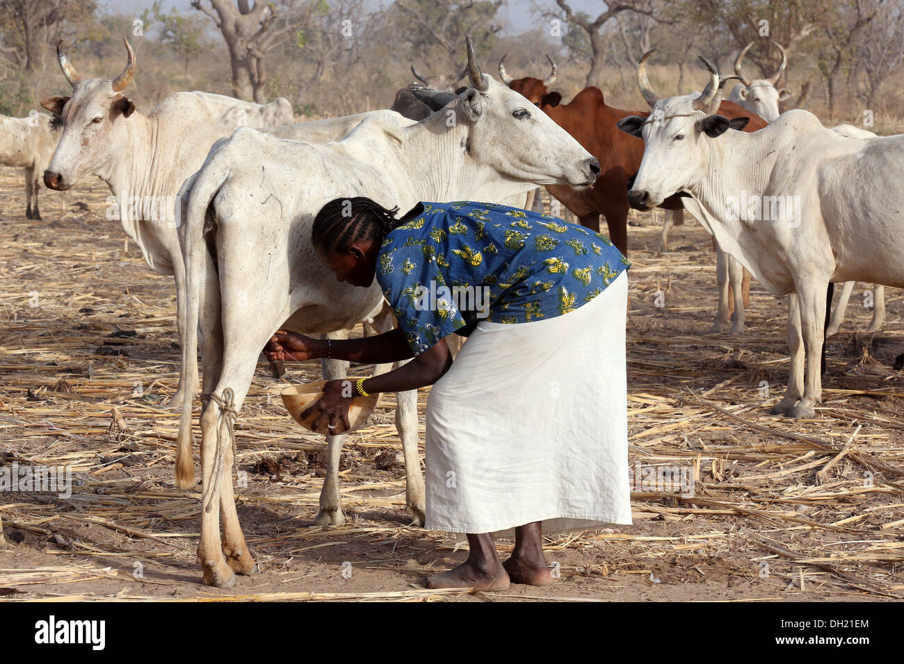 Burkina faso del nord immagini e fotografie stock ad alta risoluzione ...