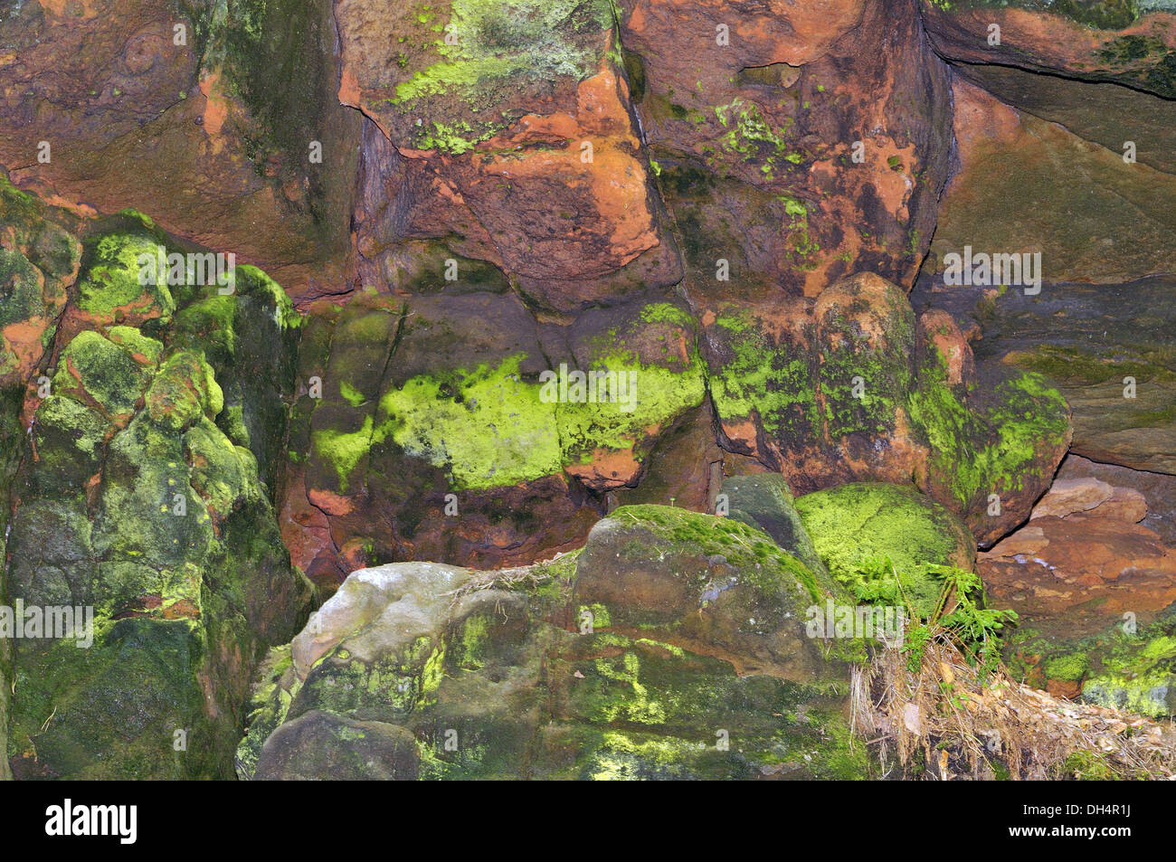 Riserva nazionale saechsische schweiz immagini e fotografie stock ad ...