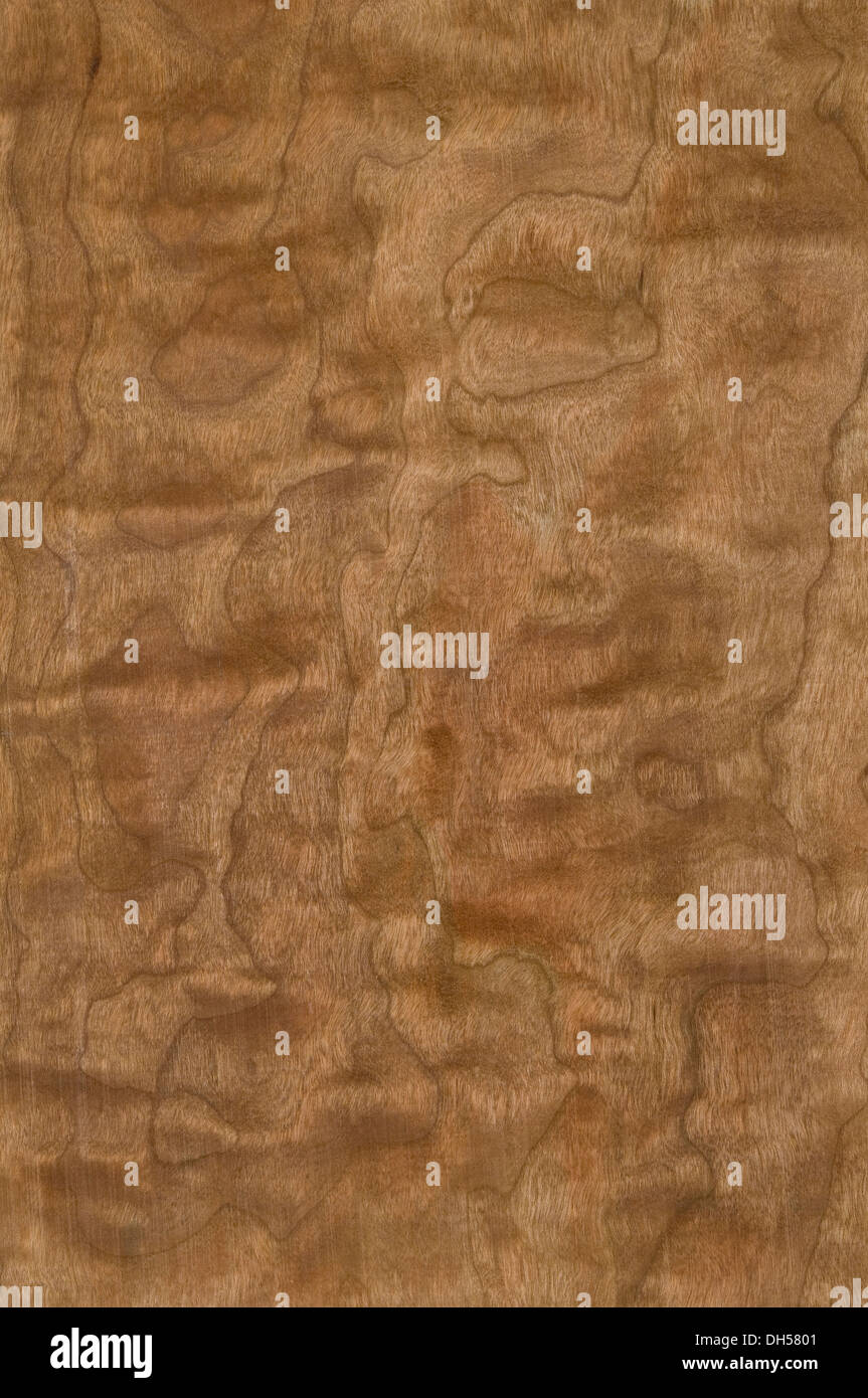 Legno di ciliegio immagini e fotografie stock ad alta risoluzione - Alamy