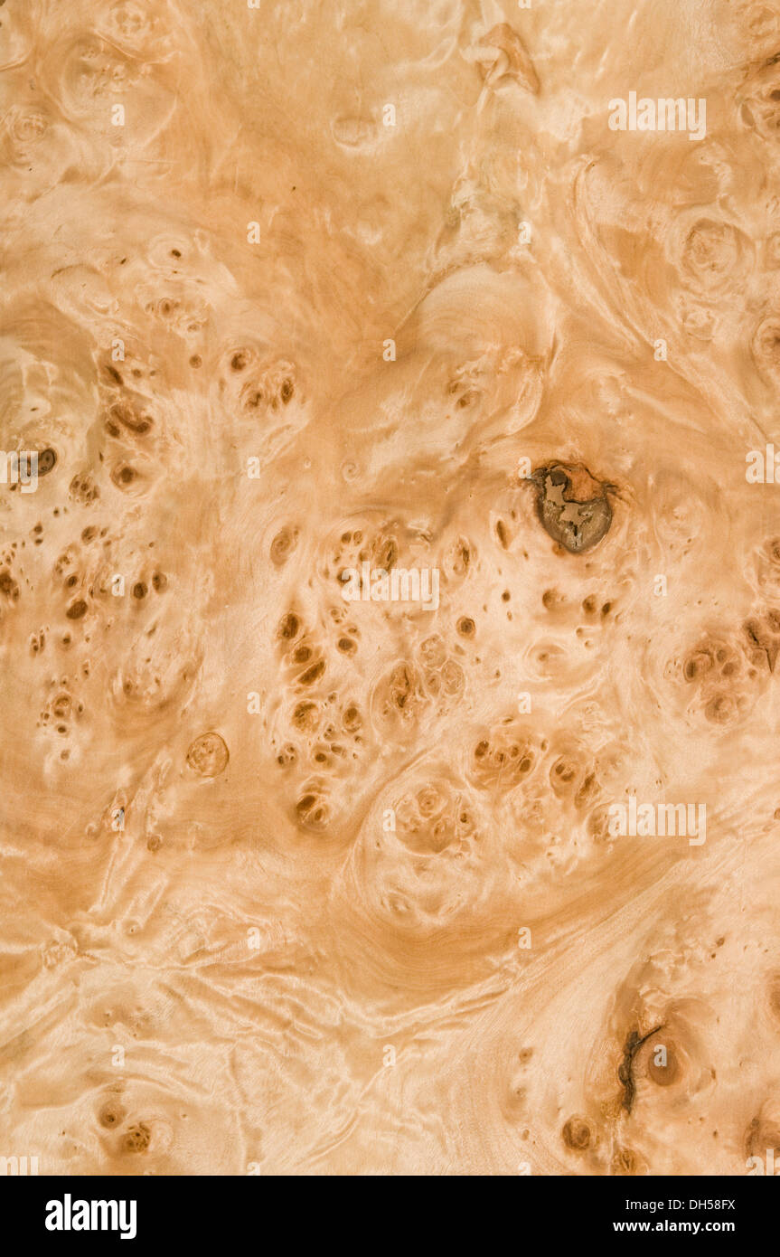 Legno di pioppo immagini e fotografie stock ad alta risoluzione - Alamy