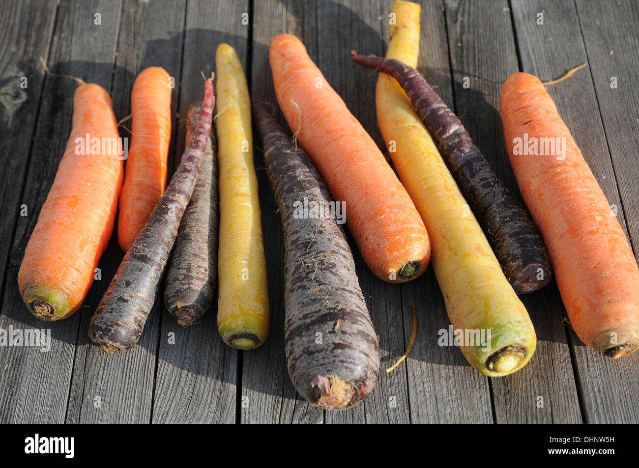 Carote colorate immagini e fotografie stock ad alta risoluzione - Alamy