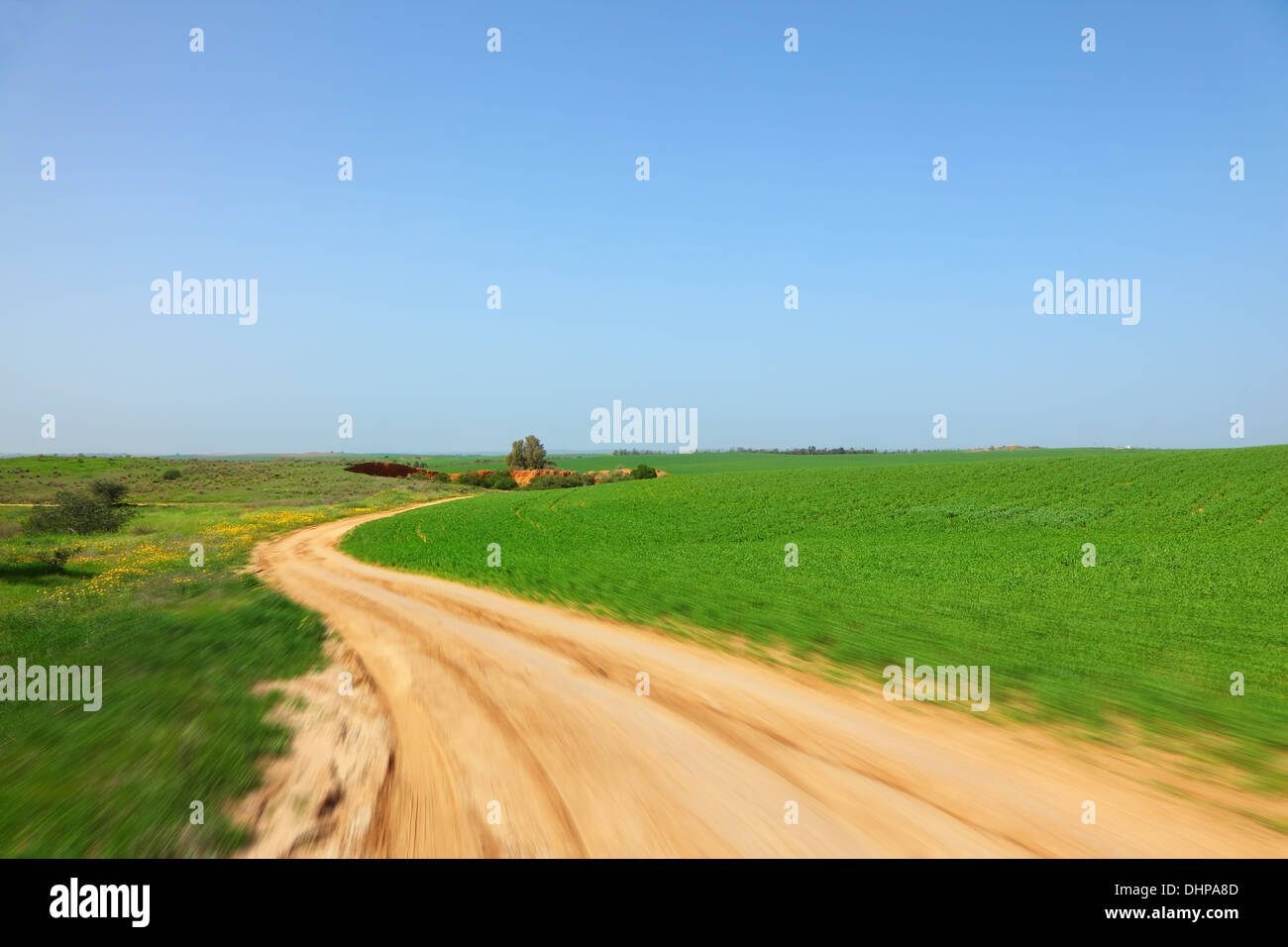 Guida su strada verde immagini e fotografie stock ad alta risoluzione ...