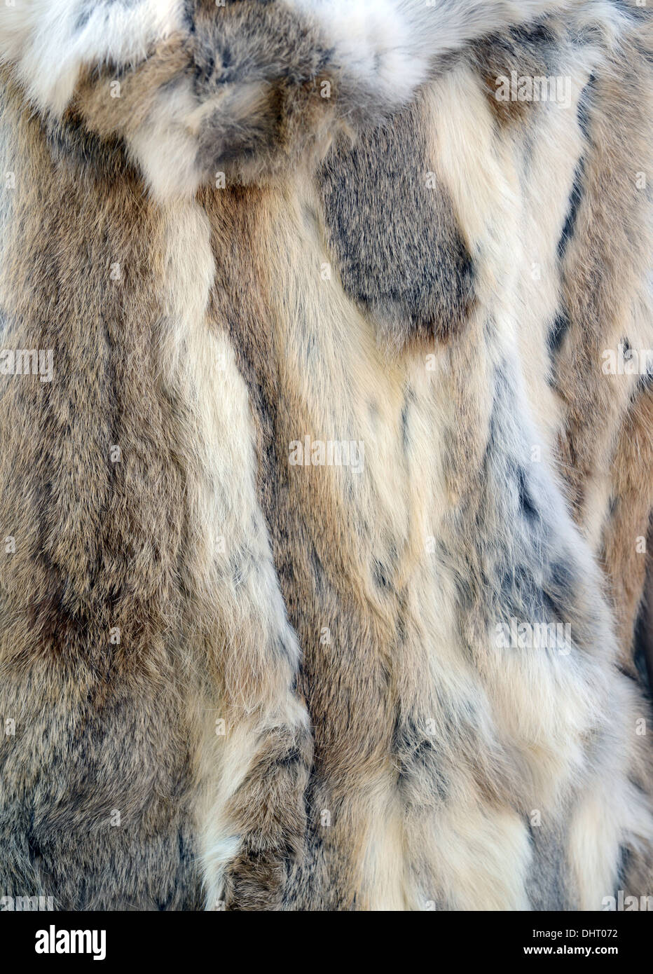 Animal skin clothes immagini e fotografie stock ad alta risoluzione - Alamy